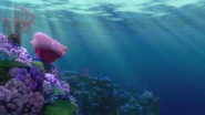 Finding Nemo/Gallery | Twilight Sparkle's Retro Media Library | Fandom