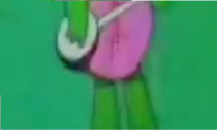 EDGAR TURTLE'S KNEES | World Of Miss Spider Doll Wiki | Fandom