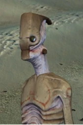 Player Race: Formian | World of Nexus Wiki | Fandom