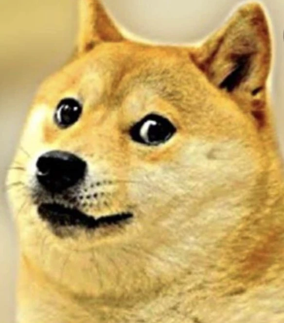 Doge | World Server Wiki | Fandom