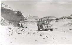 7th Armored Division | World War II Wiki | Fandom
