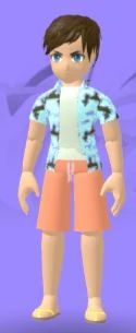 Tropical Shirt And Trunks | World // Zero Wiki | Fandom