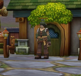 NPCs | World Flyff Wiki | Fandom