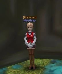 NPCs | World Flyff Wiki | Fandom