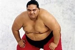 Yokozuna | World Wrestling Federation WWF Wiki | Fandom