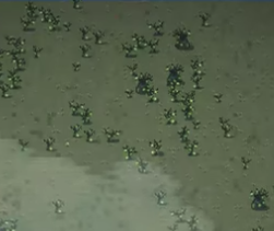 Wasteland | WorldBox - Sandbox God Simulator Wiki | Fandom