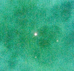 Leaf Nebula | Worldbuilding Workshop Wiki | Fandom