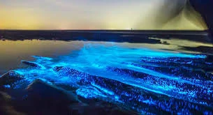 The Tarn! | Worldbuilding Workshop Wiki | Fandom