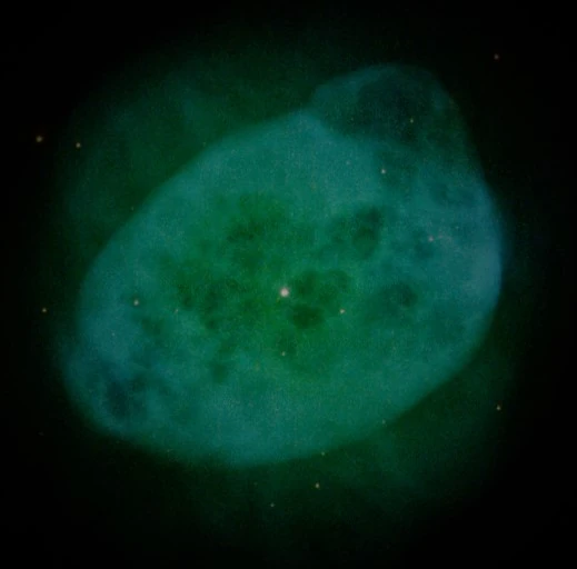 Leaf Nebula | Worldbuilding Workshop Wiki | Fandom