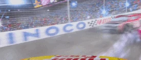Brush Curber | Pixar Cars Wiki | Fandom