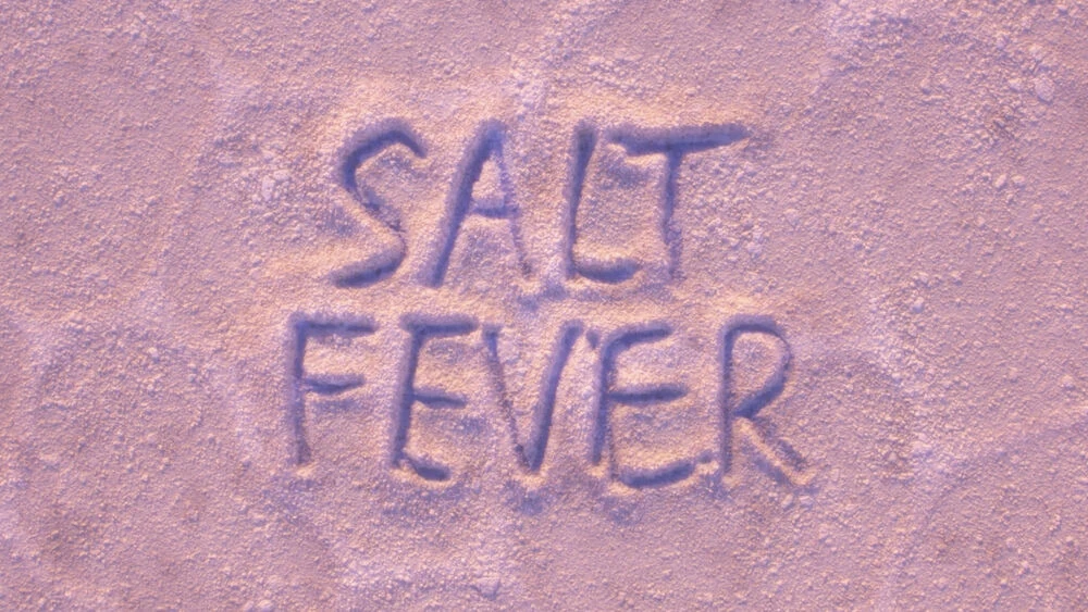 Salt Fever | Pixar Cars Wiki | Fandom