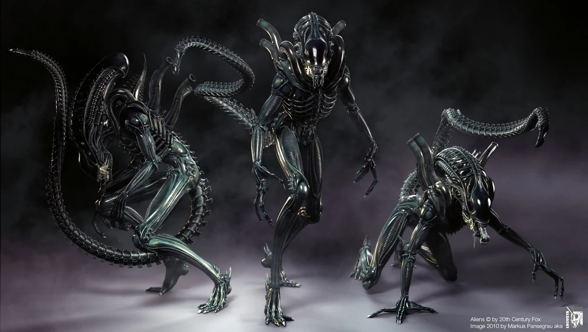 Xenomorph Typical Human Gestation | Worldofjaymz Wiki | Fandom