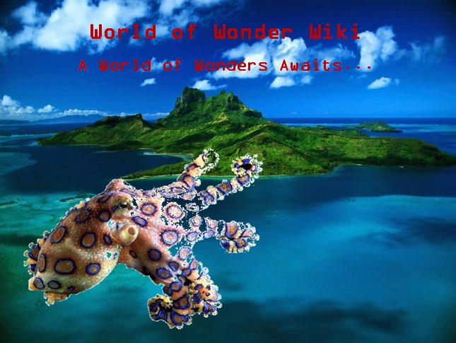 World of Wonder Offical Poster | World of Wonder Wiki | Fandom