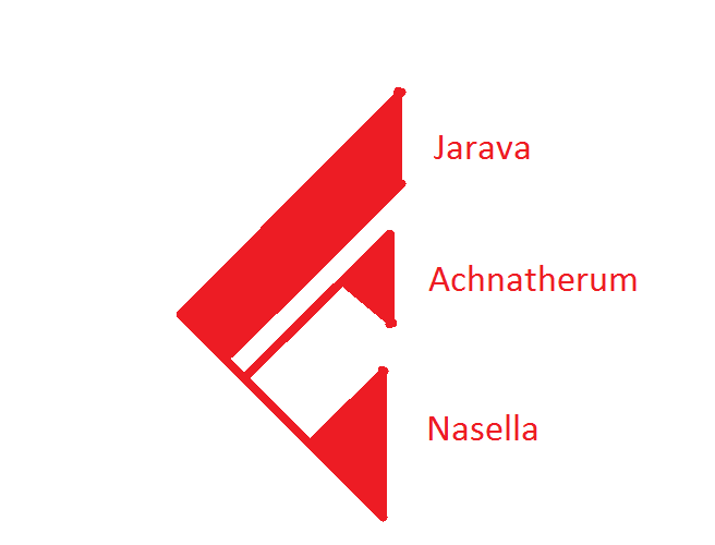 Jarava ichu | Worldpedia Wiki | Fandom