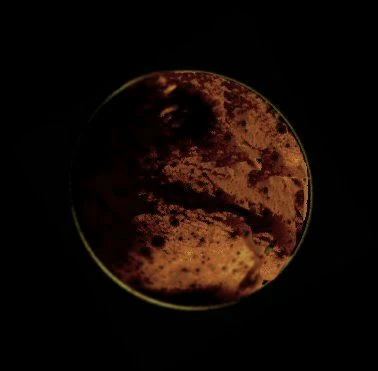 St. Fionan | Worlds Apart Wiki | Fandom