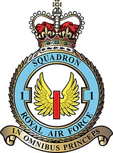 No. 1 Squadron RAF | World War One Wiki | Fandom