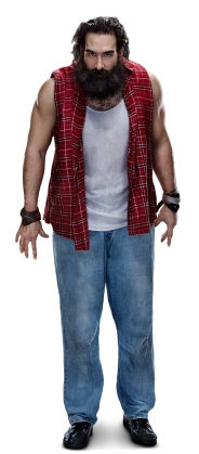 Luke Harper | WWE Wiki | Fandom