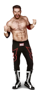 Sami Zayn | WWE Wiki | Fandom