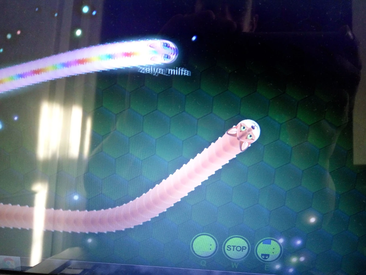 Лиса | Wormax Вики | Fandom