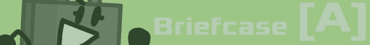 Briefcasegallery Worst Objects Wiki Fandom