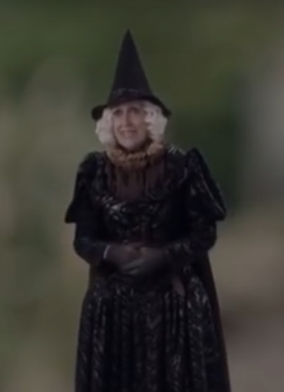 Mirabelle Hubble The Worst Witch Wiki Fandom