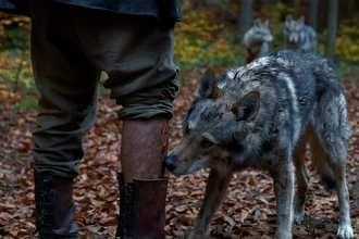 Characters in season 1 | The Wheel of Time Wiki | Fandom