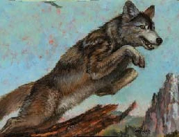 Hopper | A Wheel of Time Wiki | Fandom