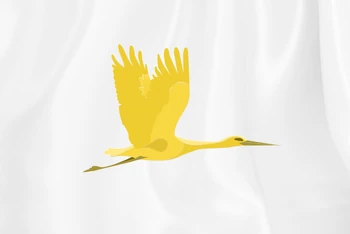 Andere | A Wheel of Time Wiki | Fandom