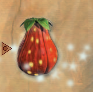 Elemental Fruit | Kameo Elements Of power Wiki | Fandom