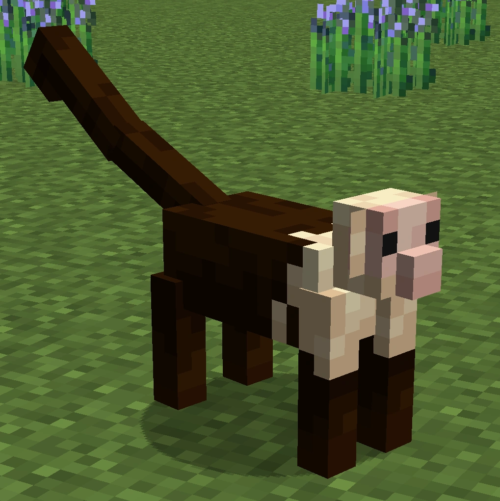 Brown Hooded Monkey (Animal) | WOTRMC Wiki | Fandom