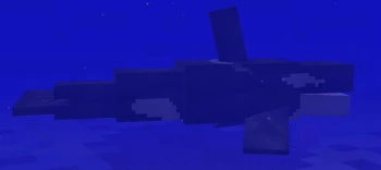 Midnight-striped Orca Whale (Animal) | WOTRMC Wiki | Fandom