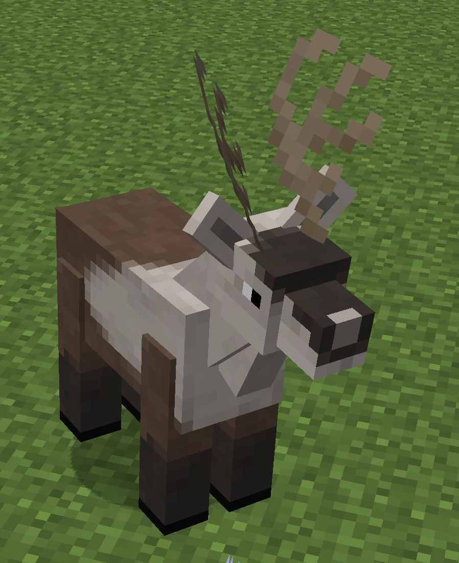 Reindeer (Animal) | WOTRMC Wiki | Fandom