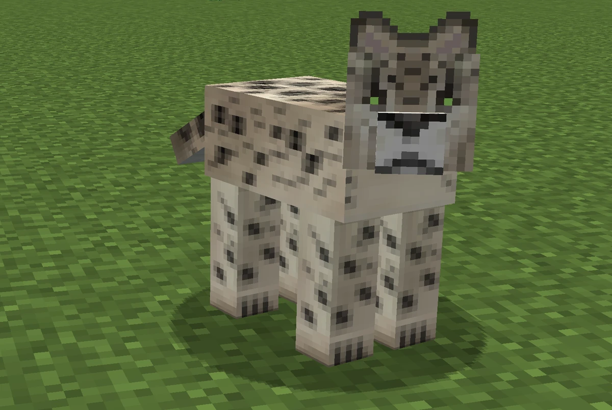 Snow Leopard (Animal) | WOTRMC Wiki | Fandom