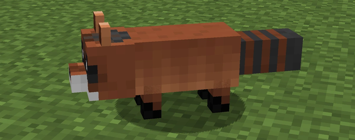 Red Raccoon (Animal) | WOTRMC Wiki | Fandom