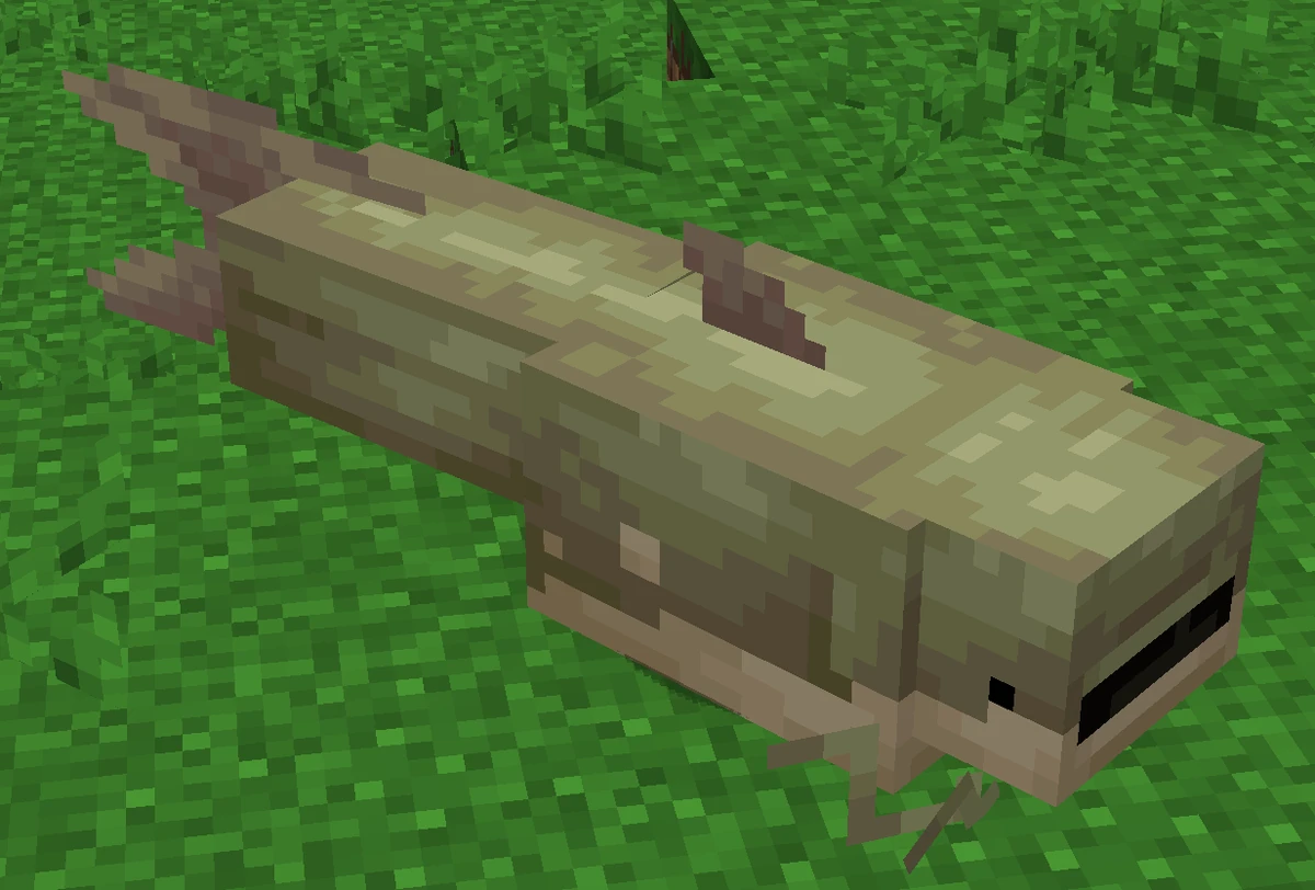 Medium Catfish (Animal) | WOTRMC Wiki | Fandom