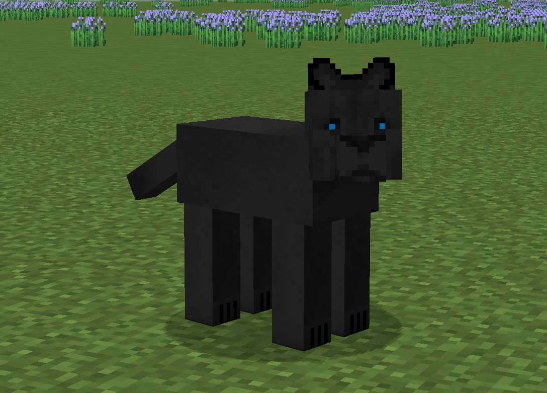 Panther (Animal) | WOTRMC Wiki | Fandom