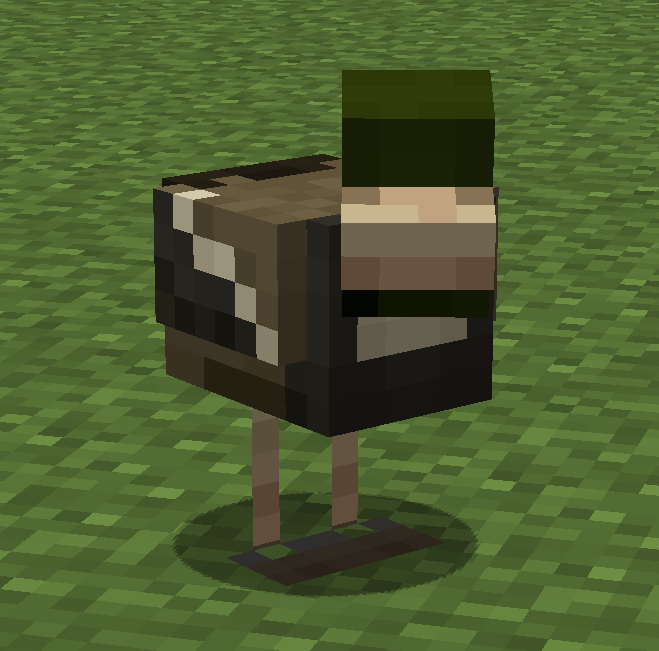 Duck (Animal) | WOTRMC Wiki | Fandom
