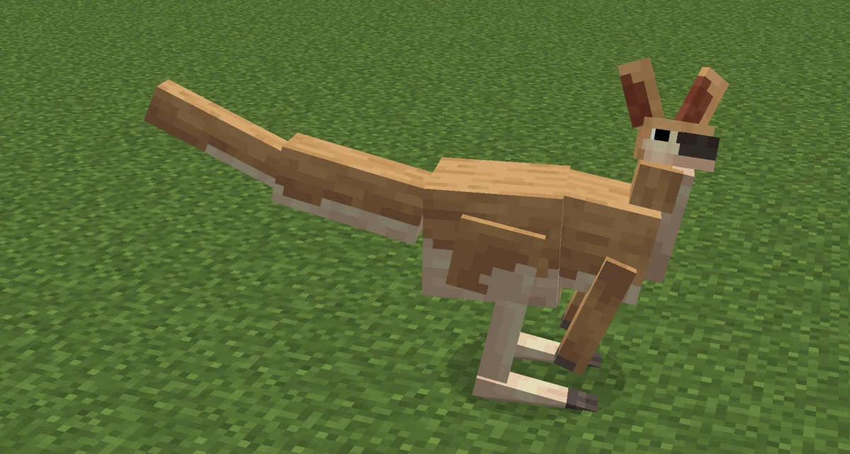 Pale Kangaroo (Animal) | WOTRMC Wiki | Fandom