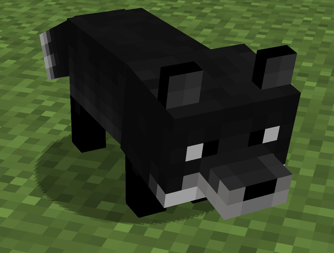 Midnight Fox (Animal) | WOTRMC Wiki | Fandom