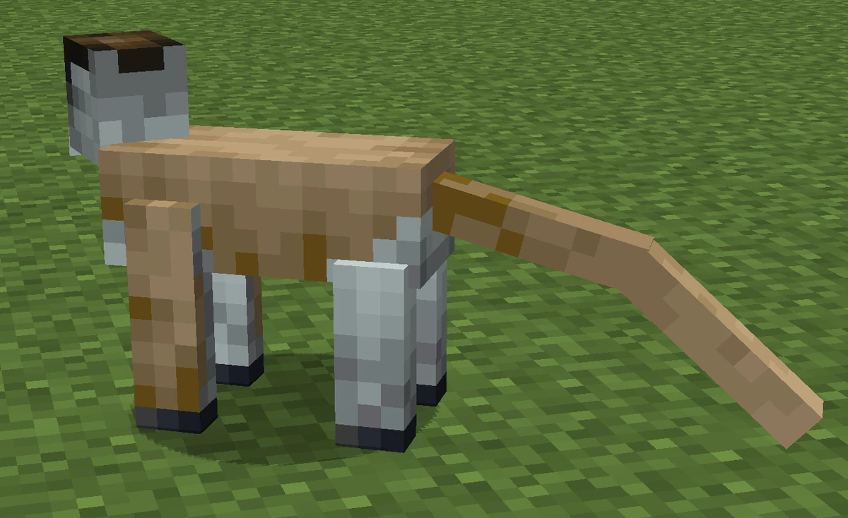Pale Haecharad Monkey (Animal) | WOTRMC Wiki | Fandom