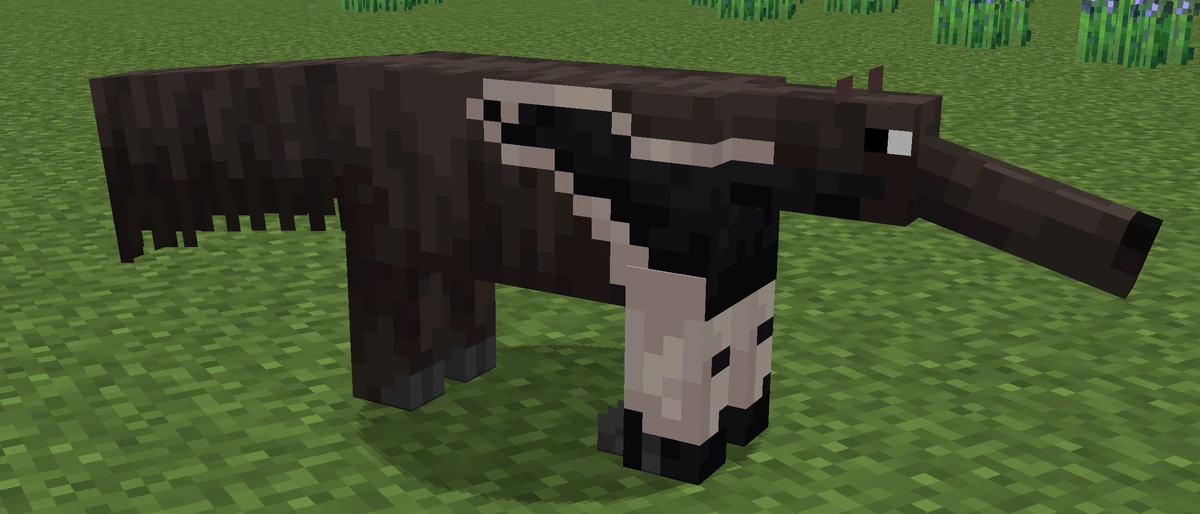 Anteater (Animal) | WOTRMC Wiki | Fandom