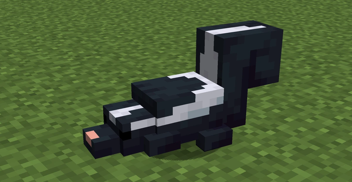 Skunk (Animal) | WOTRMC Wiki | Fandom