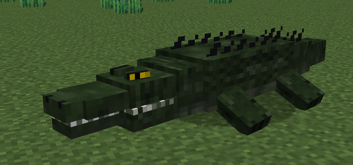 Green Alligator (Animal) | WOTRMC Wiki | Fandom