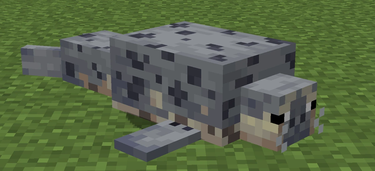 Seal (Animal) | WOTRMC Wiki | Fandom