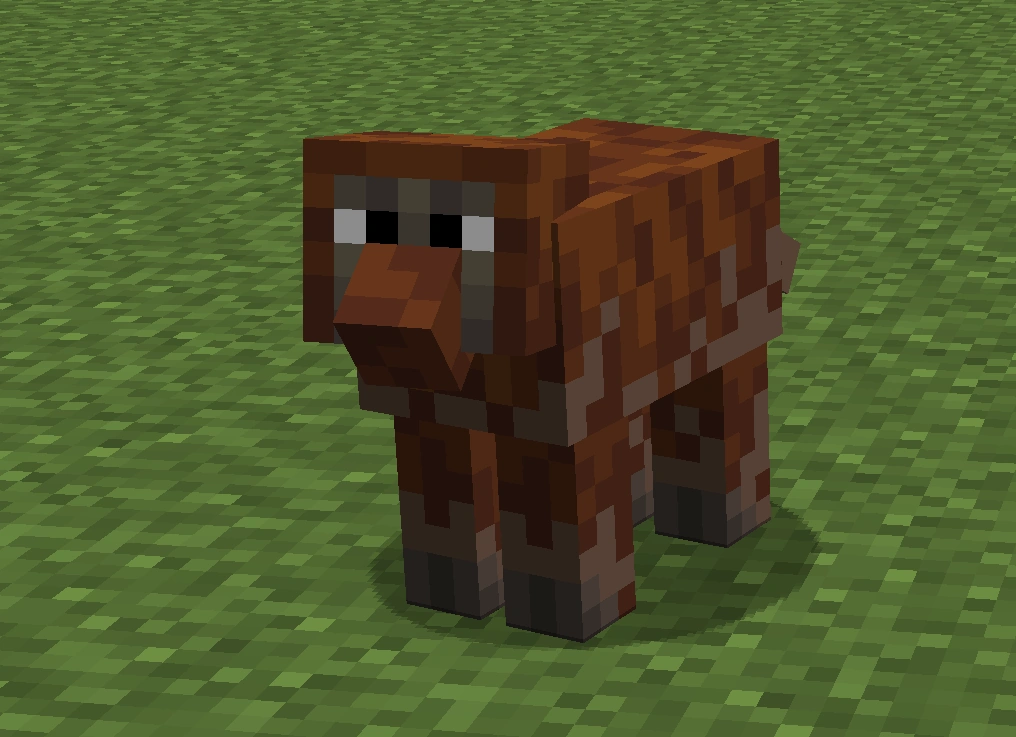 Brown Baboon (Animal) | WOTRMC Wiki | Fandom