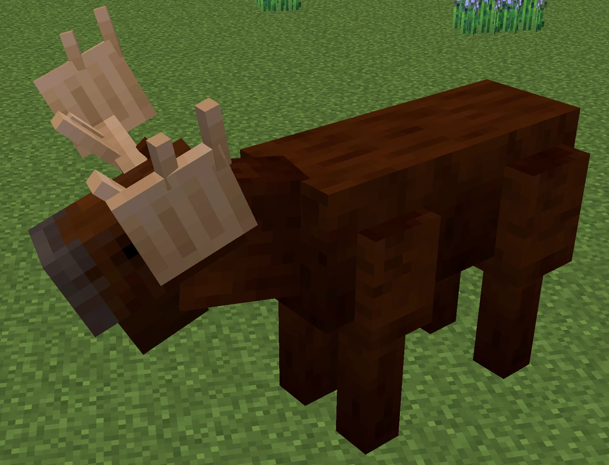 Cherry Moose (Animal) | WOTRMC Wiki | Fandom