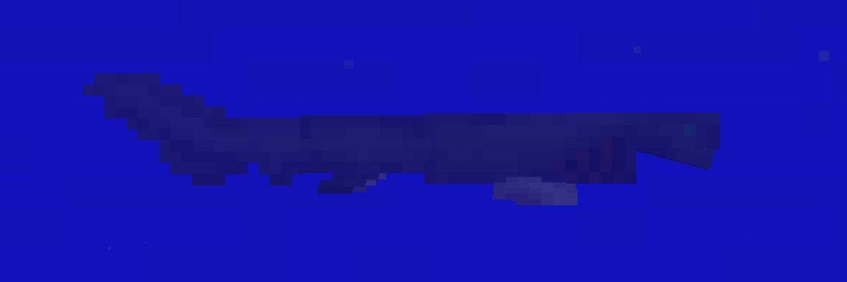 Frilled Shark (Animal) | WOTRMC Wiki | Fandom