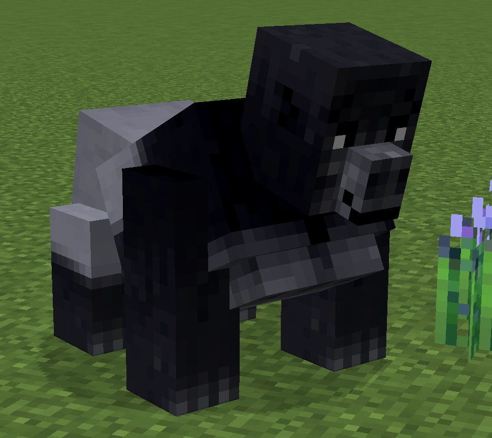 Female Silverback Gorilla (Animal) | WOTRMC Wiki | Fandom
