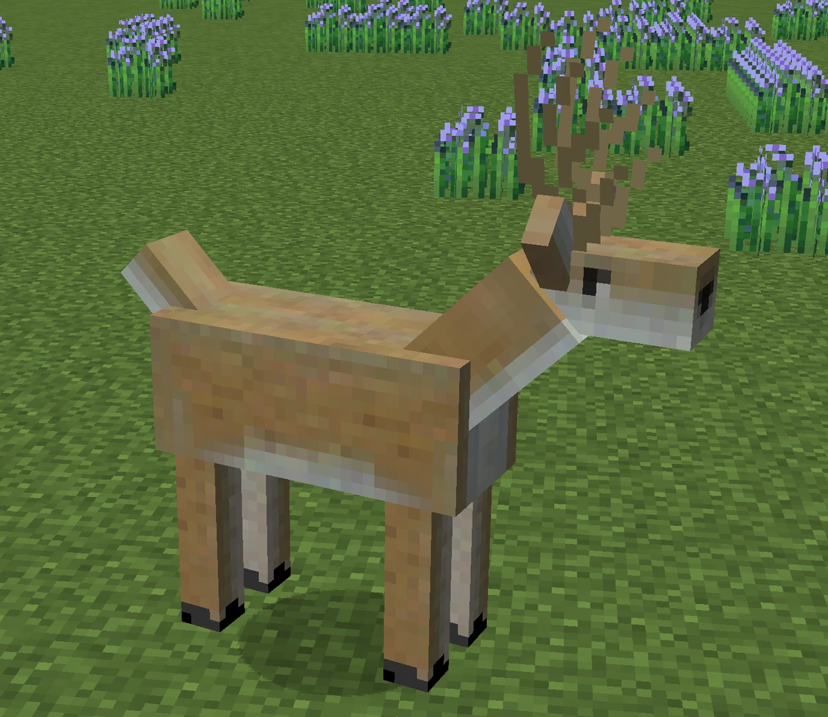 White-tailed Buck (Animal) | WOTRMC Wiki | Fandom