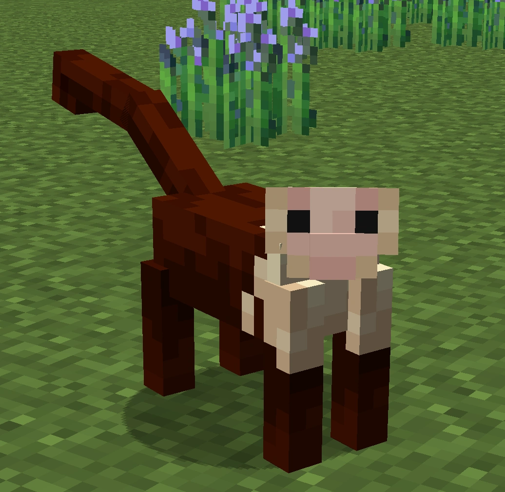 Cherry Hooded Monkey (Animal) | WOTRMC Wiki | Fandom